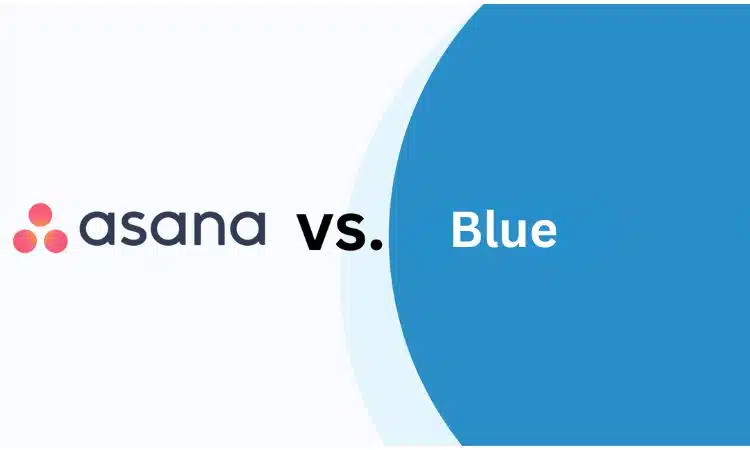 Blue vs Asana: Which Tool Best Fits Your Workflow? - Digi Top 10
