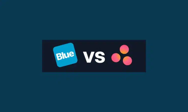 Blue vs Asana: Which Tool Best Fits Your Workflow? - Digi Top 10
